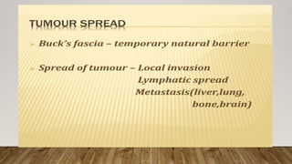 Carcinoma Penis. practical ppt 1234.pptx
