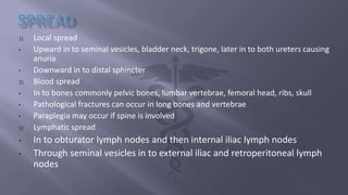 carcinoma prostate - subhash.pptx