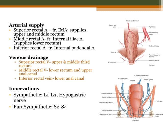 Carcinoma rectum (Rectal Cancer) | PPT