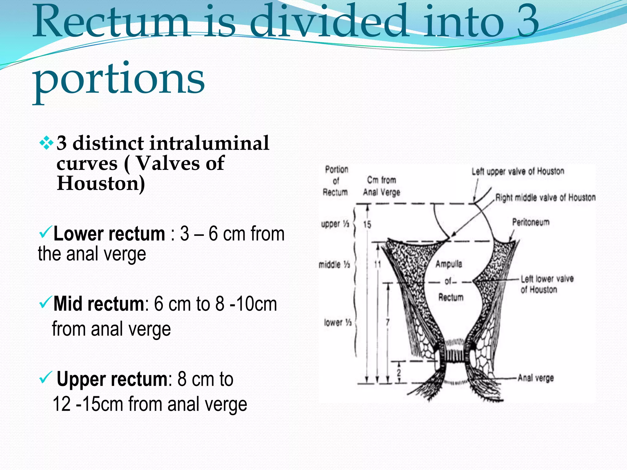 Carcinoma rectum-radiotherapy perspective | PPTX