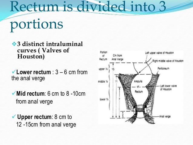 Carcinoma rectum-radiotherapy perspective