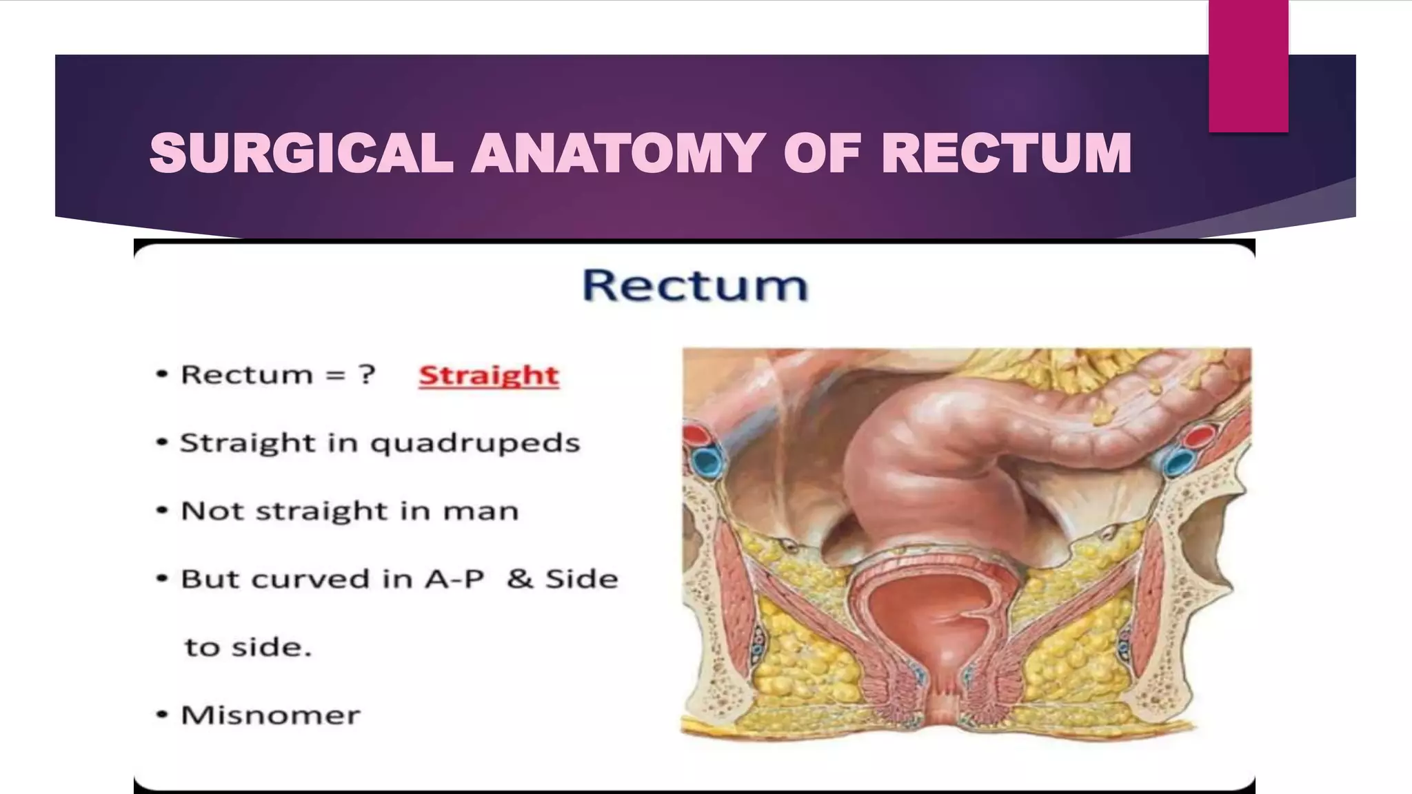 Carcinoma rectum.pptx