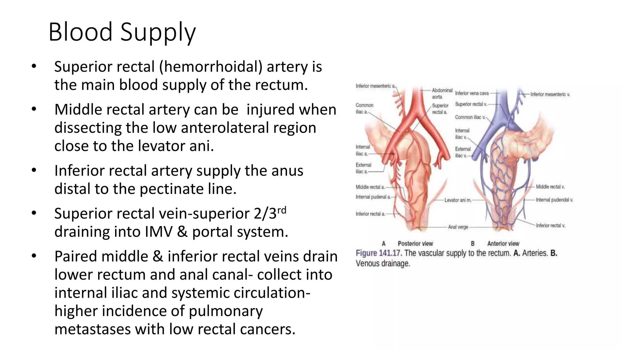 carcinoma rectum and anal canal.pptx