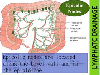 Carcinoma rectum & colon | PPTX