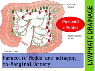 Carcinoma rectum & colon | PPTX