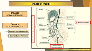 Carcinomatosis peritoneal | PPTX