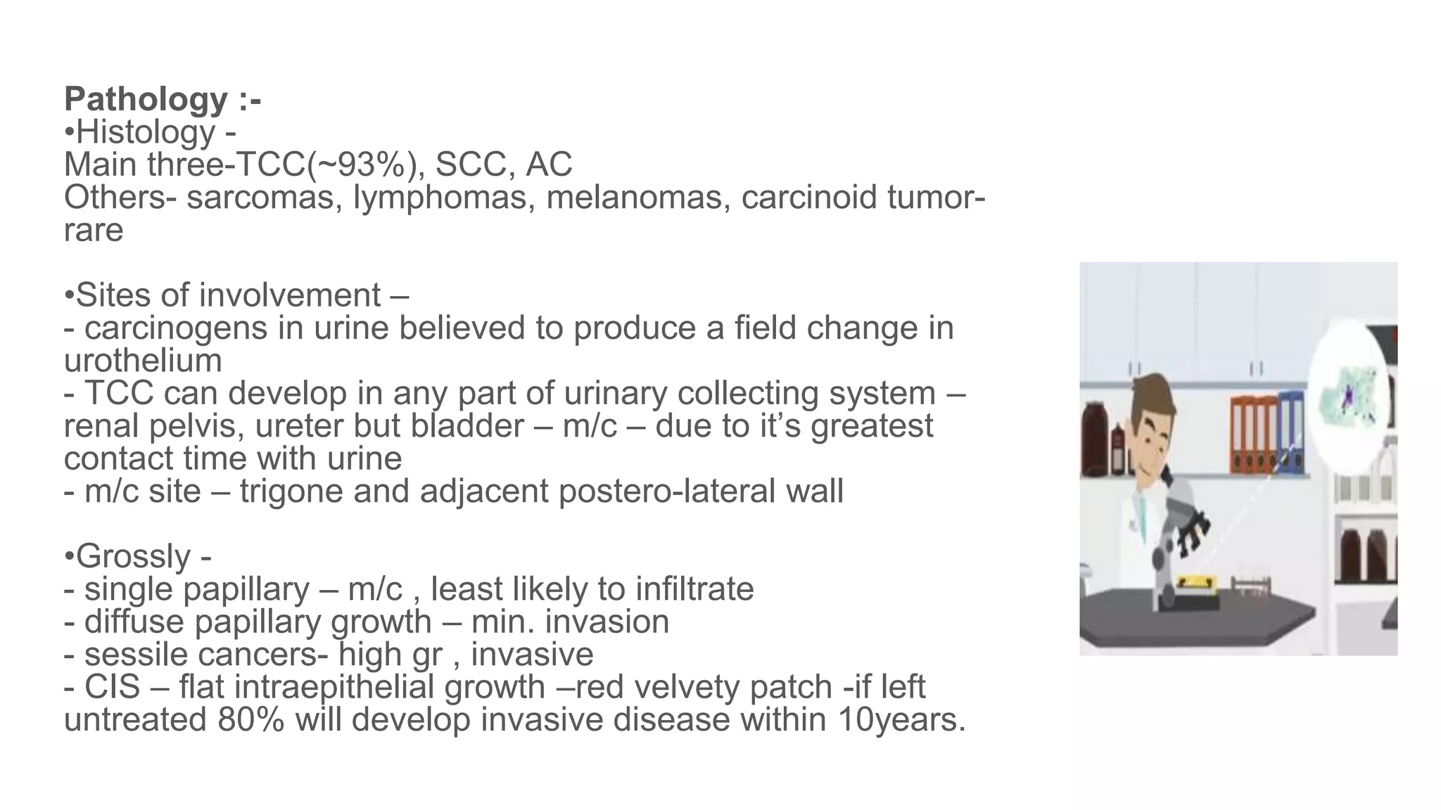 Carcinoma urinary bladder | PPTX
