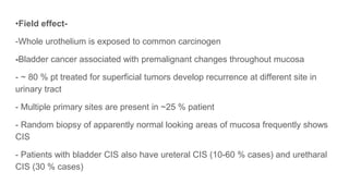 Carcinoma urinary bladder | PPTX