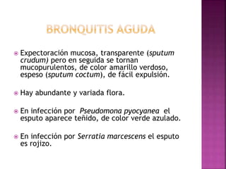 Carcteristicas del esputo en distintas enfemedades | PPTX
