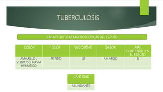 Carcteristicas del esputo en distintas enfermedades | PPTX