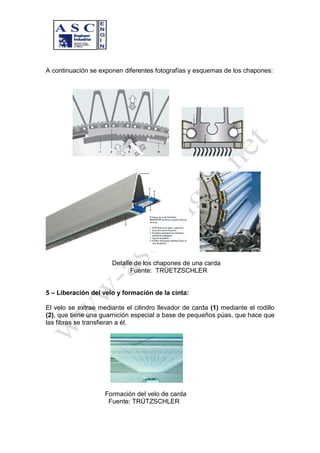 Cardado de fibras cortas | PDF