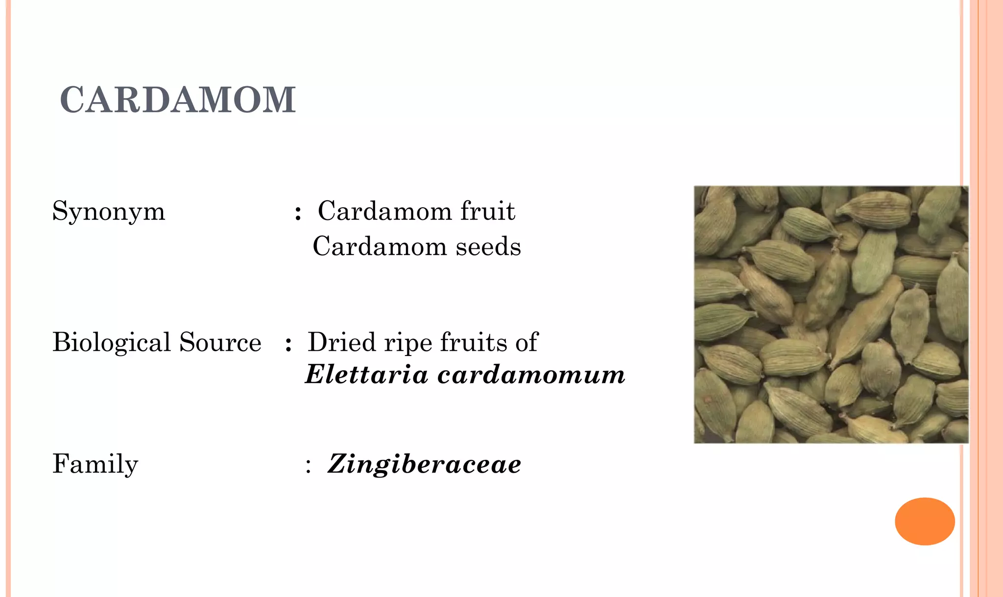 Cardamom | PPT