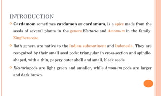 Cardamom | PPT