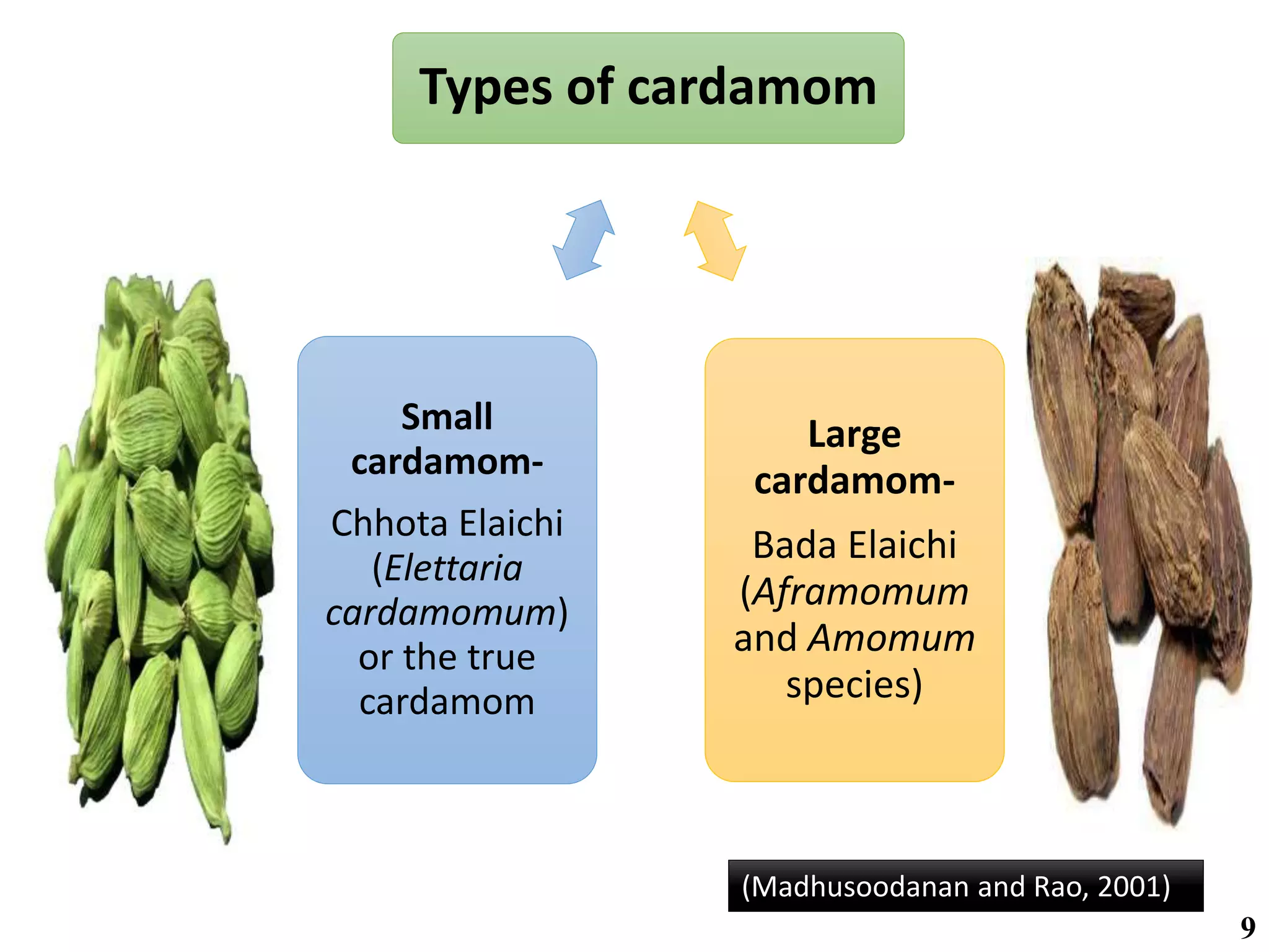 Cardamom | PPTX