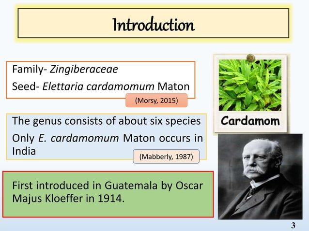 Cardamom | PPTX