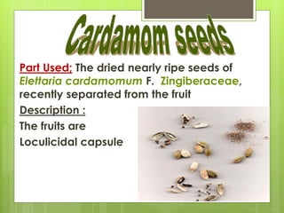 Cardamom | PPT