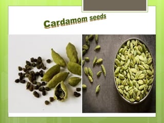 Cardamom | PDF