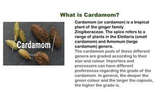 Cardamom | PDF | Commodities | Economy