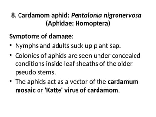 Cardamom pests powerpoint presentation.pptx
