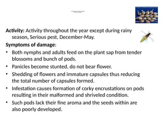 Cardamom pests powerpoint presentation.pptx
