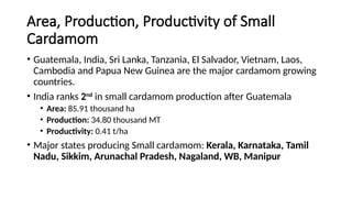 Production of Cardamom in India - Copy.pptx