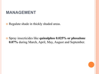 Cardamom arivin dbca | PPT
