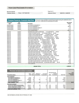 CardConnect B2B Sample Statement | PDF