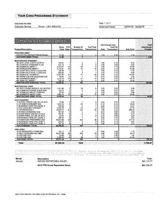 CardConnect B2B Sample Statement | PDF