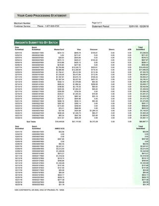 CardConnect B2B Sample Statement | PDF