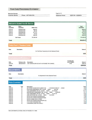 CardConnect B2B Sample Statement | PDF