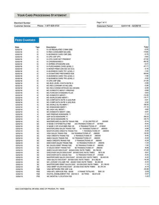 CardConnect B2B Sample Statement | PDF