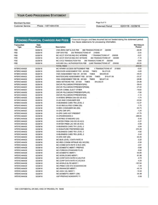 CardConnect B2B Sample Statement | PDF
