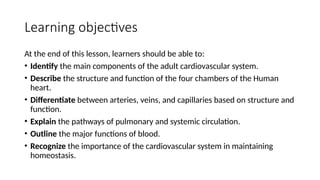Cardiovascular system.ppt in human anatomy and physiologie | PPTX