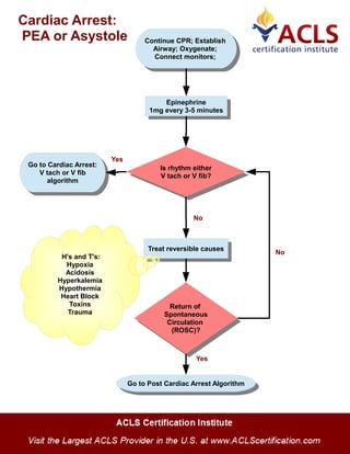 Adult Cardiac Arrest Algorithm | PDF
