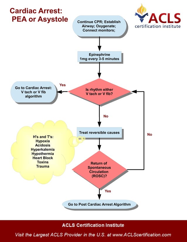 Adult Cardiac Arrest Algorithm | PDF