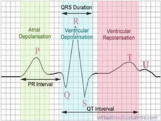 Cardiac function-test | PPTX
