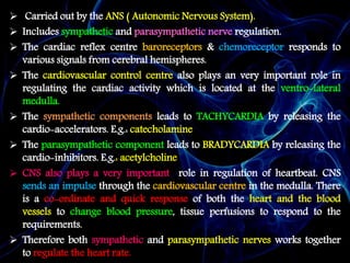 (heart beat) regulation of cardiac activity | PPTX