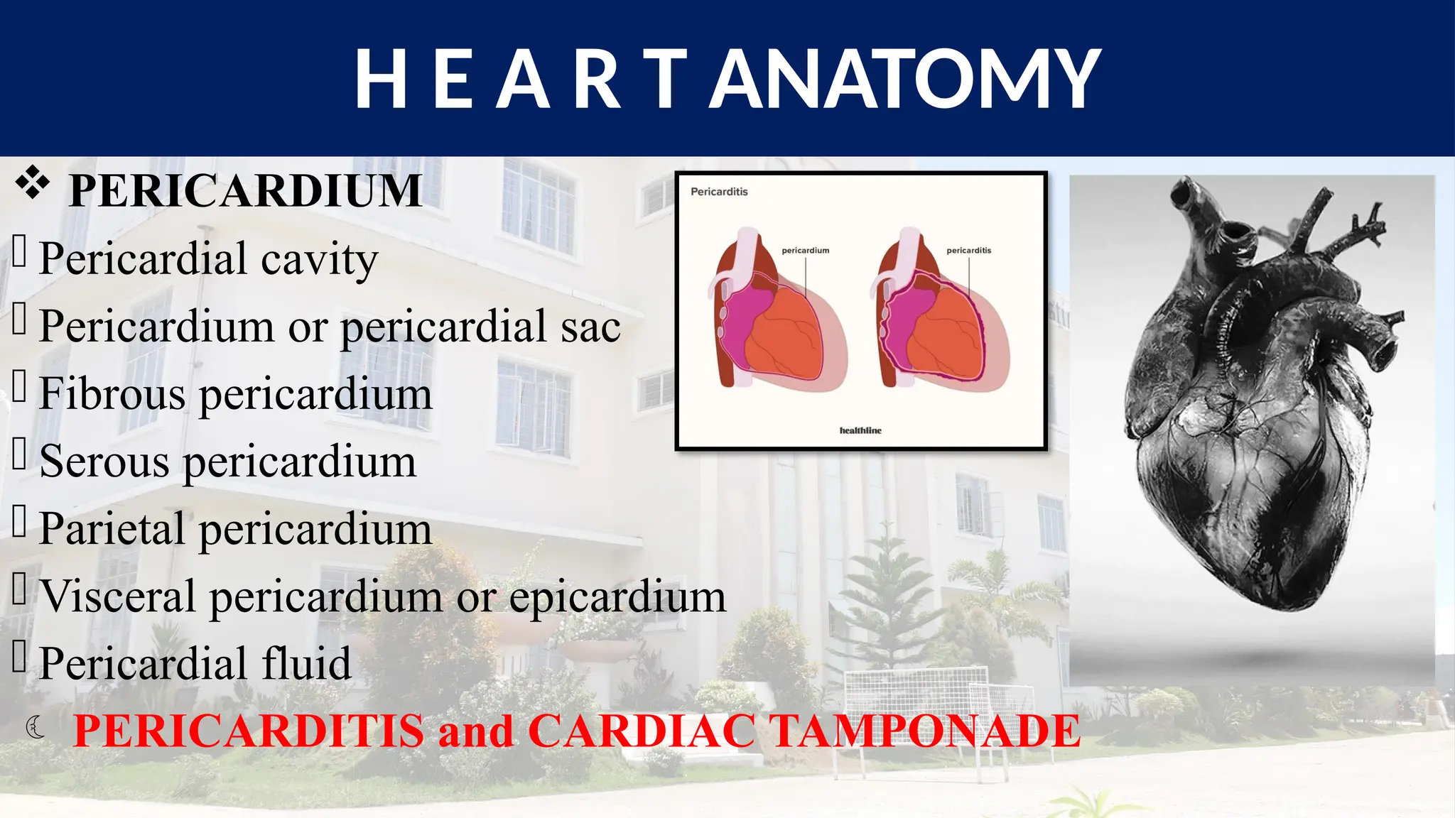 CARDIAC20SYSTEMStudynotes.PPresentation. | PPTX