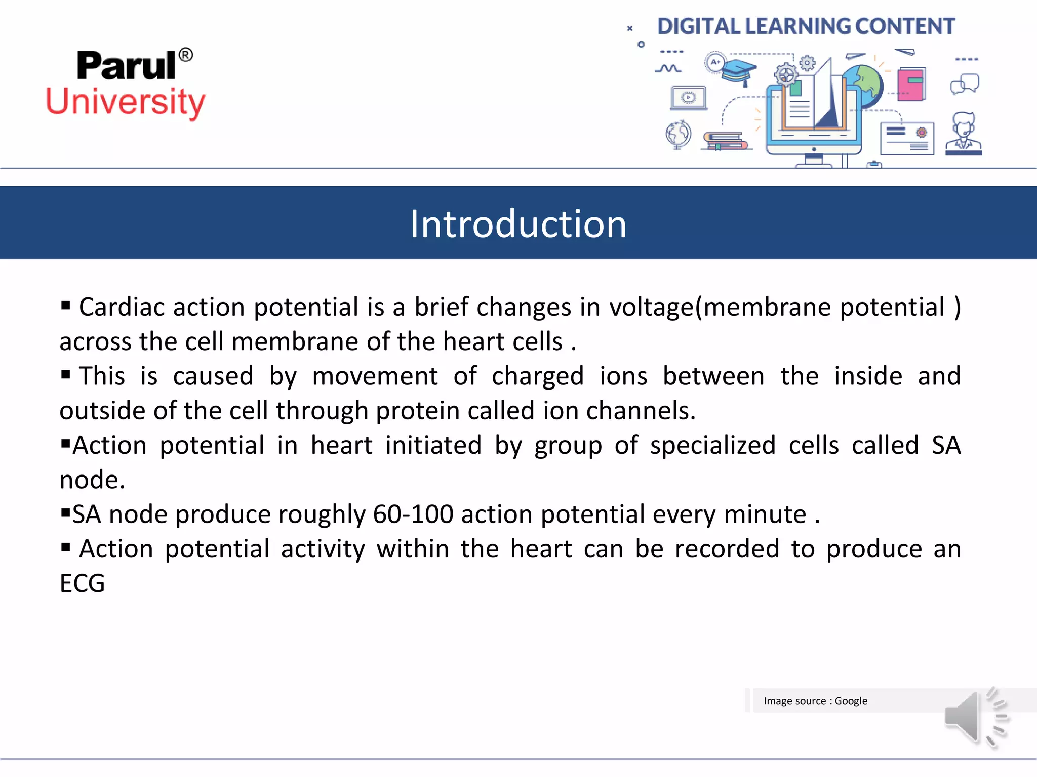 Cardiac action potential | PDF