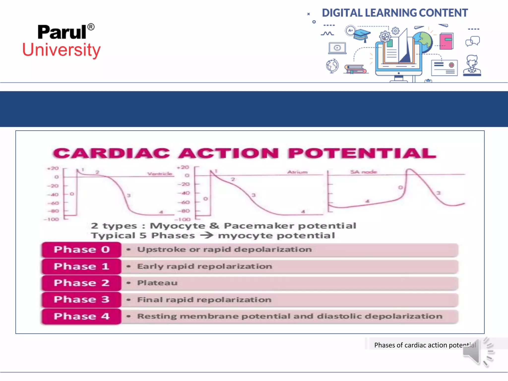 Cardiac action potential | PDF