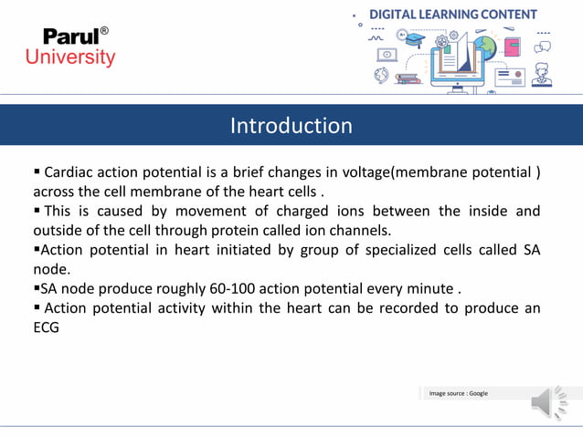 Cardiac action potential | PDF | Heart and Cardiovascular Diseases ...