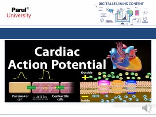 Cardiac Action Potential Animation