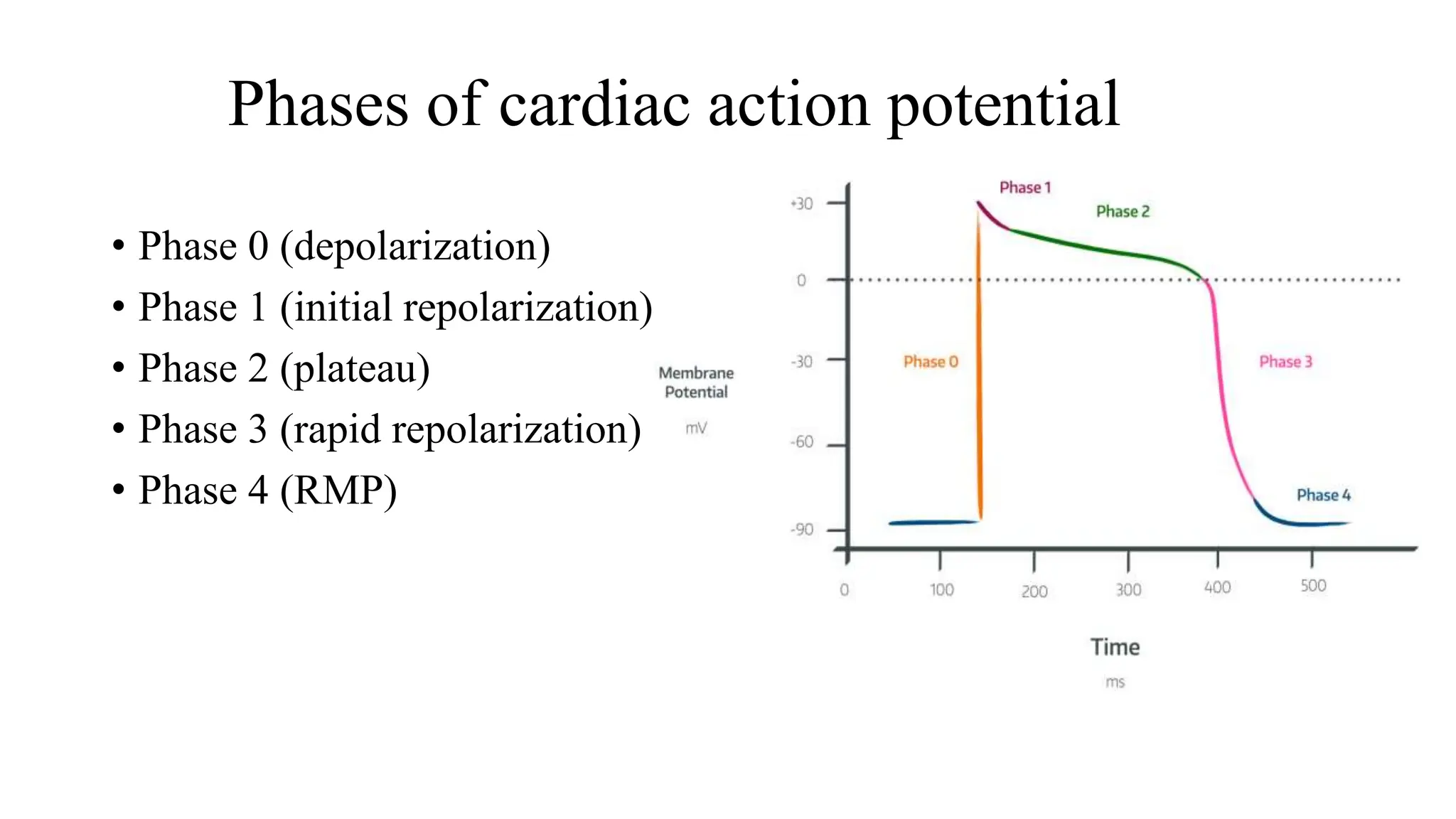 Cardiac action potential. Dr. surafel ACCPM AR1 | PPT