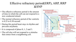 Cardiac action potential. Dr. surafel ACCPM AR1 | PPT