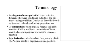 Cardiac action potential. Dr. surafel ACCPM AR1 | PPT
