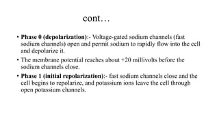 Cardiac action potential. Dr. surafel ACCPM AR1 | PPT