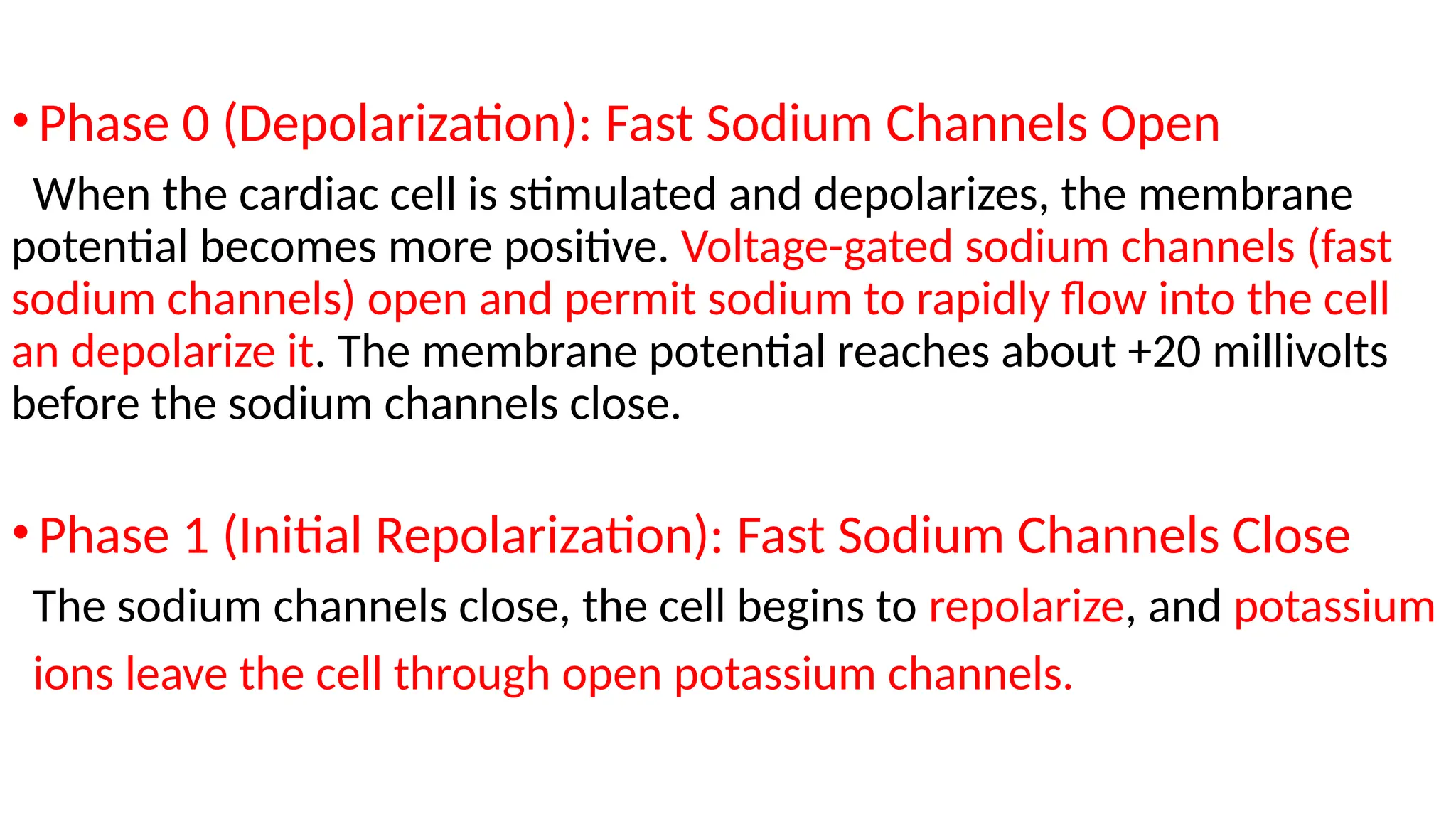 CARDIAC ACTION POTENTIAL (1).ppppppppptx | PPTX
