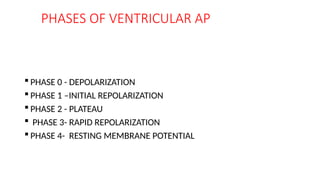 CARDIAC ACTION POTENTIAL (1).ppppppppptx | PPT