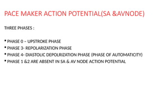 CARDIAC ACTION POTENTIAL (1).ppppppppptx | PPT