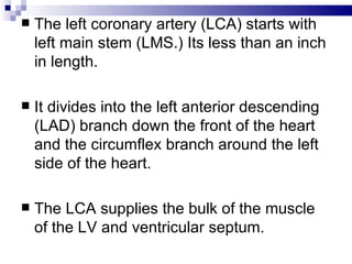 Cardiac Anatomy | PPT